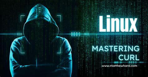 Unlocking The Potential Of Curl A Beginners Guide With Examples