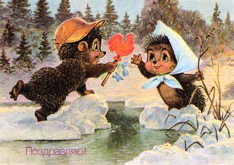 Где вы видели ежа в обуви Sadalskij — Livejournal