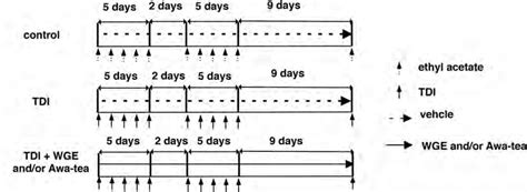Experimental Protocol Download Scientific Diagram