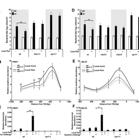 Revised Consensus Dna Sequence Motifs A Enrichment Ratio Of Dna Download Scientific Revised Consensus Dna Sequence Motifs A Enrichment Ratio Of Dna Download Scientific