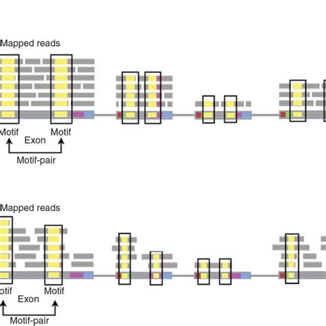 Quantification Of Read Coverage Using Short Pairs Of Sequence Motifs