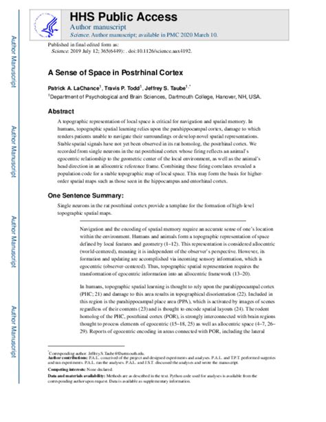 Pdf A Sense Of Space In Postrhinal Cortex