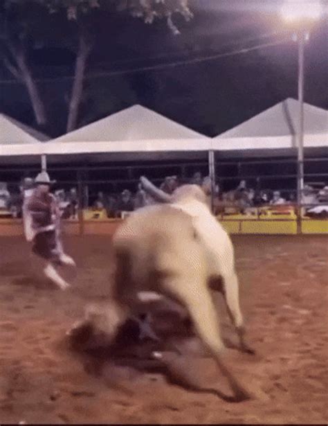 Man Gets Flipped By Bull And Lands Perfectly On Top Luck 