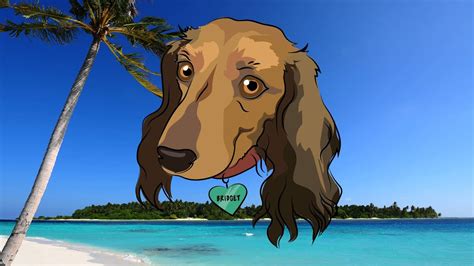 After Effects Basics Demo 1 Youtube