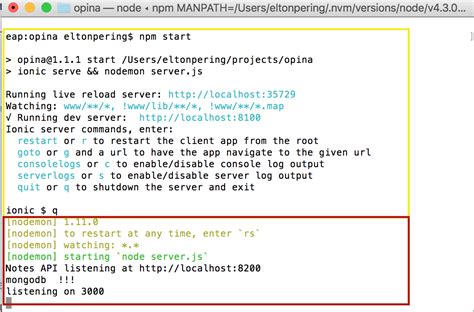 Start Server Js Automatically Ionic V Ionic Forum