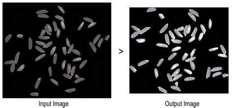Help Online Labtalk Programming Image Processing