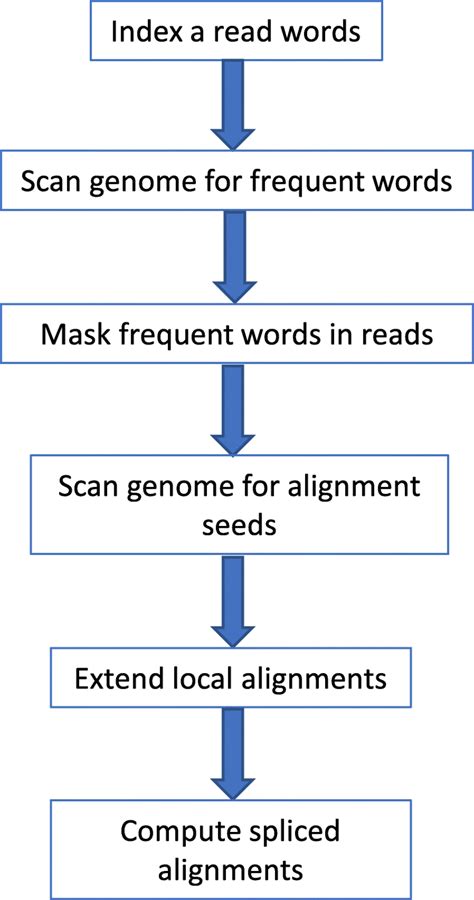 Flowchart Of The Magic Blast Algorithm Download Scientific Diagram