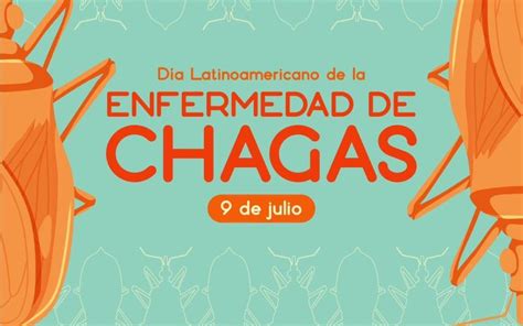 La Picadura De La Chinche Picuda Podría Causar La Muerte Marpensa Tv