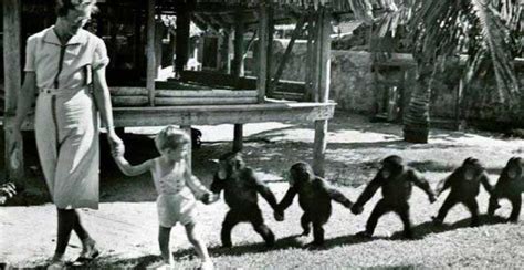 Tutorial Linked Lists In Robotc Bot Bench