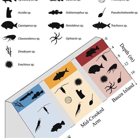 Indicator Species Analysis Depicting The Indicator Species Per Site Download Scientific