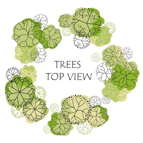 Tree For Architectural Floor Plans Entourage Design Various Trees