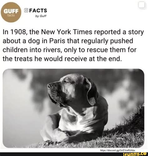 Suff Facts By Guff In 1908 The New York Times Reported A Story About A
