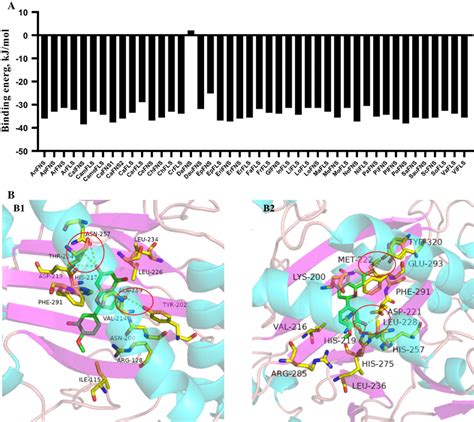 Computer Molecular Simulation Of The Binding Of Fns Fls With Download Scientific Diagram