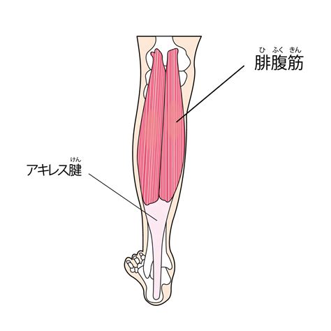 アキレス腱断裂でお困りの方は品川足改善センターにお越しください