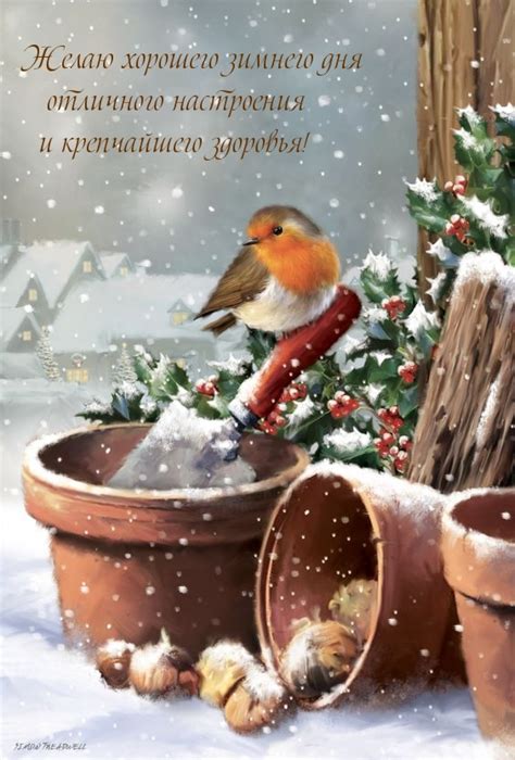 Картинка Желаю хорошего зимнего дня отличного настроения