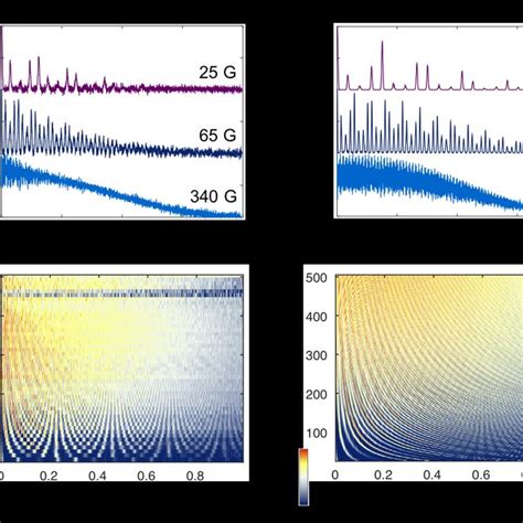 analysis of the divacancy coherence a experimental hahn echo