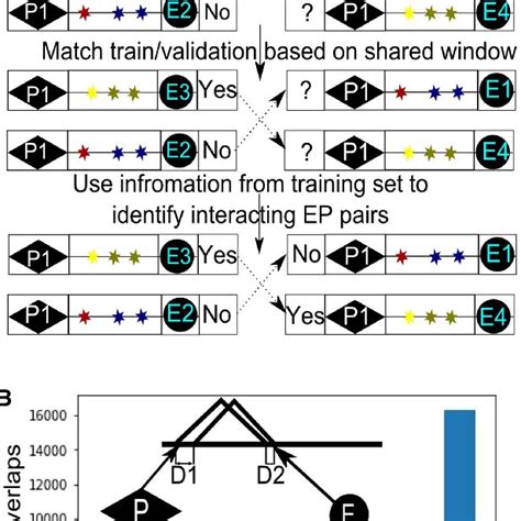Promoter Enhancer Pairs With Overlapping Windows In Training And
