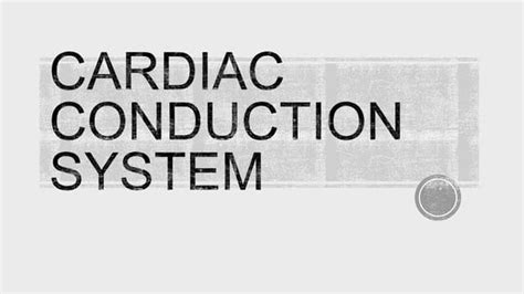 Cardiac Conduction System Ppt