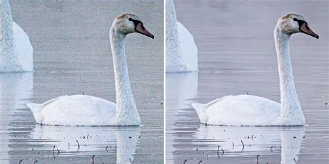 Major Adobe Lightroom Update Brings Powerful Noise Reduction To Your Photos Techradar