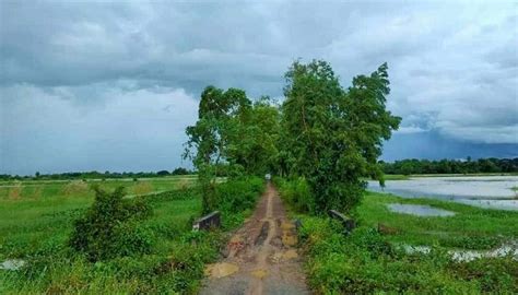 ပုသိမ်မြို့နယ်ရှိ ကျေးရွာ ၂ ရွာမှ လယ်မြေများနှင့် နေအိမ်များကို စစ်ကောင်စီမှ စီမံကိန်းအကြောင်းပ