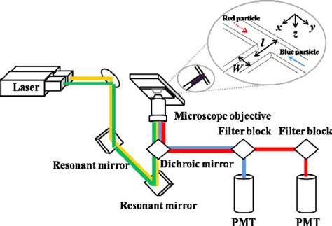 Simultaneous Measurement Of Concentrations And Velocities Of Submicron Species Using Multicolor