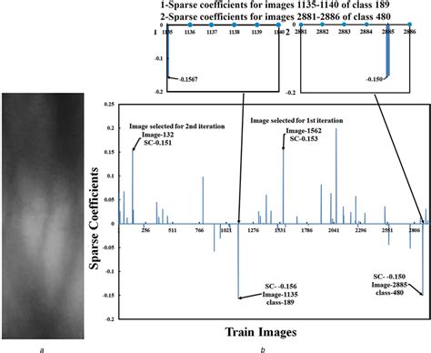 finger vein image and the computed sparse coefficients by conventional