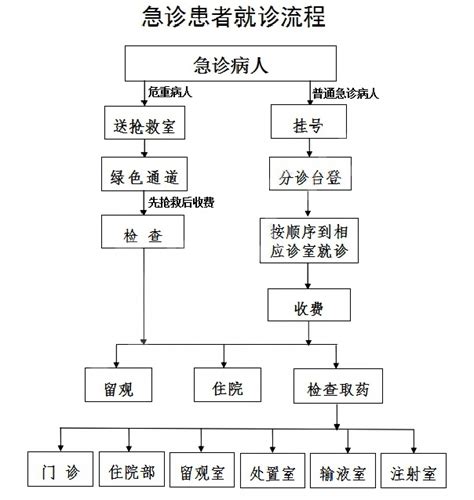 急诊患者就诊流程