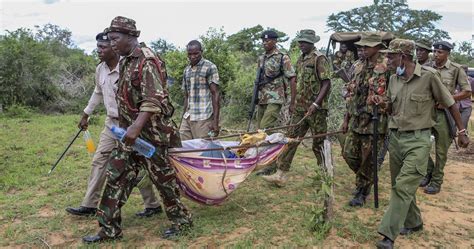 Kenya Shakahola Cult Deaths Climbs To 303 Bodies Africanews