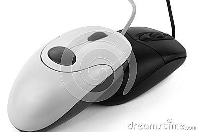 Two Mouse Sex Royalty Free Stock Photos Image