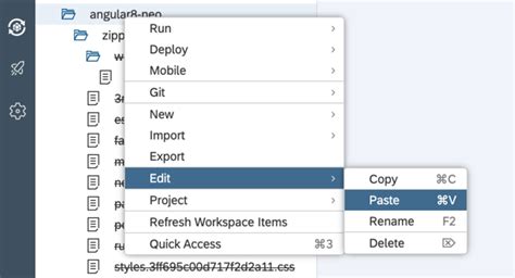 How To Prepare And Deploy An Angular 8 Application Sap Community
