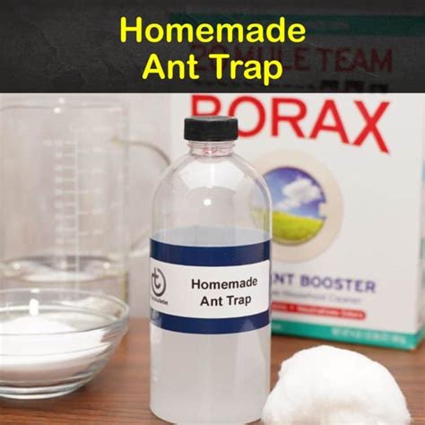 7 Homemade Ant Traps That Really Work