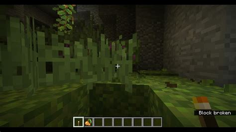 Minecraft 21w10a 5 Youtube