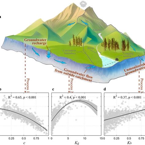 The Key Hydrological Processes Influencing The Hydrological Closure Download Scientific Diagram