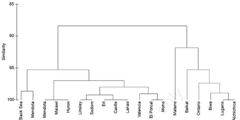 dendrogram produced using bray curtis similarity cluster matrix based