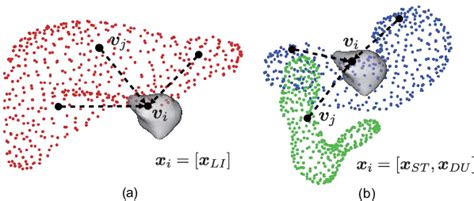 Figure 1 From Statistical Deformation Reconstruction Using Multi Organ Shape Features For