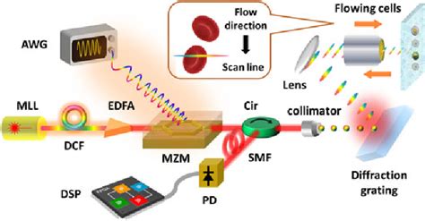 Figure 3 From High Speed Compressive Microscopy Of Flowing Cells Using Sinusoidal Illumination