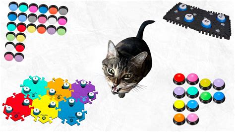 Top 5 Cat Talking Buttons In 2023 THAT REALLY WORK