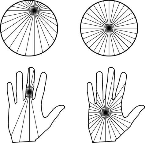Two Steps Of Iterative 32 Ray Casting Being Applied To The Estimation Download Scientific
