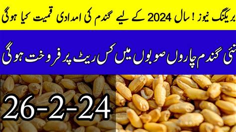 گندم کی سرکاری قیمت کیا ہوگی 2024 Youtube
