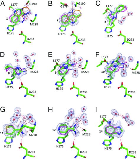Comparison Of Experimental And Predicted Binding Poses Superposition