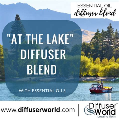 Diffuser World Oil Diffusers Diffuserworldus Twitter