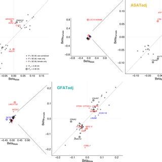 Common Variant Sex Heterogeneity For VATadj ASATadj And GFATadj Local Download Scientific
