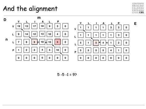Sequence Alignment Algorithms Morten Nielsen Biosys Dtu Ppt Download