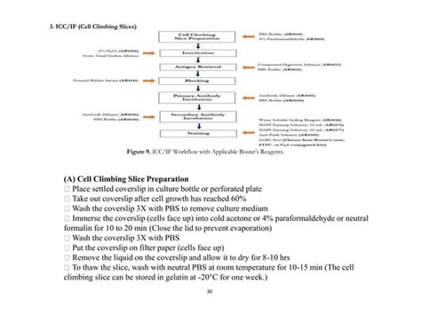 Immunohistochemistry IHC Protocol PPTX