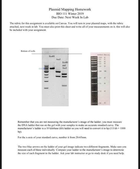 Plasmid Mapping Homework Bio 111 Winter 2019 Due