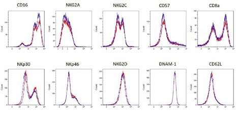 Figure 1 From X Ray As Irradiation Alternative For K562 Feeder Cell
