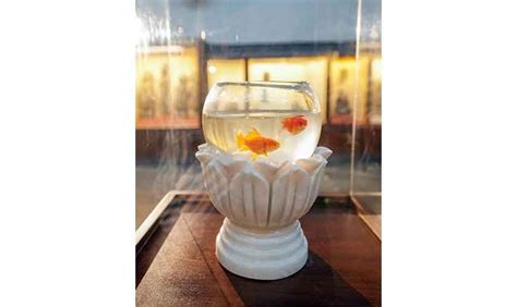 From Intention To Intervention Encore Pk