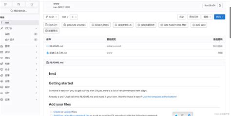 花生壳 gitlab ce搭建免费公网访问私有git服务器 极空间 gitlab csdn博客