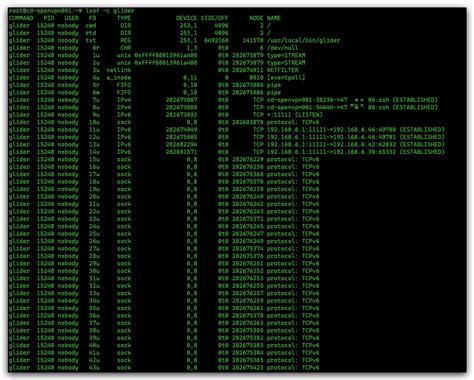 memory surge and tcp6 too many · issue 299 · nadoo glider · github