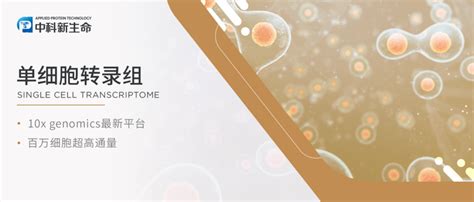 【干货分享】10x 单细胞转录组常见qanda（四） 降维聚类专题 知乎